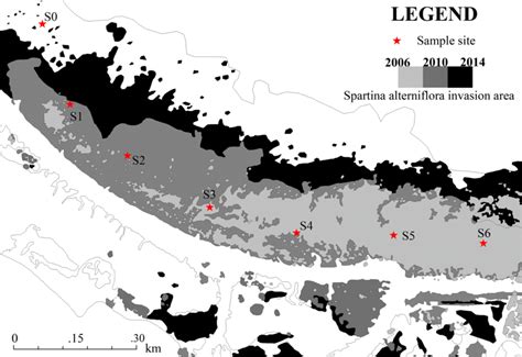 Spatial Distribution Of S Alterniflora Marsh In The Shanyutan Wetland Download Scientific