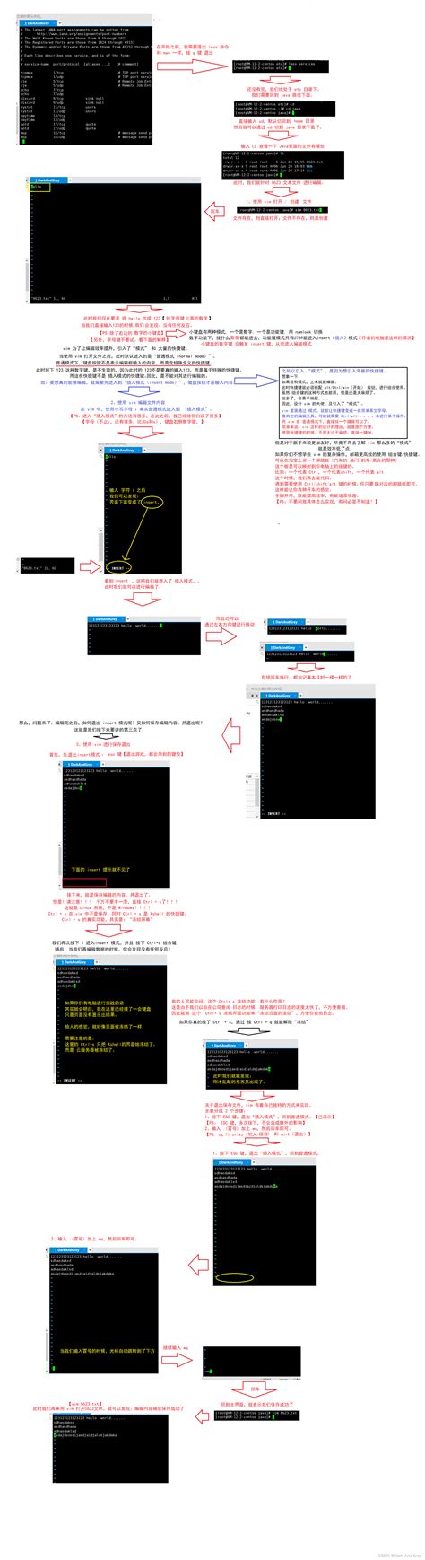 Linux系统基本使用 与 程序部署 Javaee初阶 细节狂魔linux是第一大操作系统吗 Csdn博客