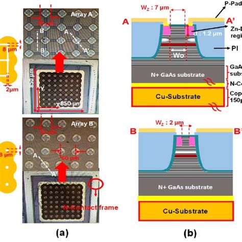 Atop View Of The Demonstrated 7×7 Vcsel Array A And B B