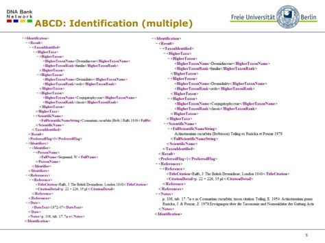 PPT ABCD Data Schema PowerPoint Presentation Free Download ID 5398913