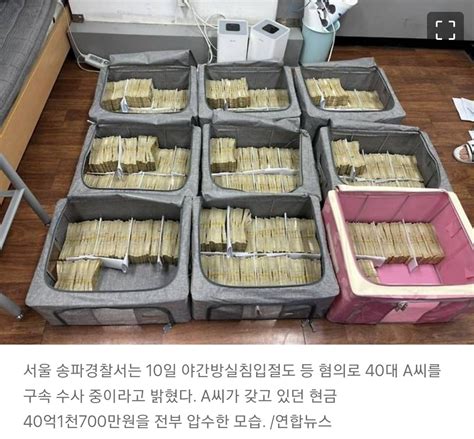 Daum 카페