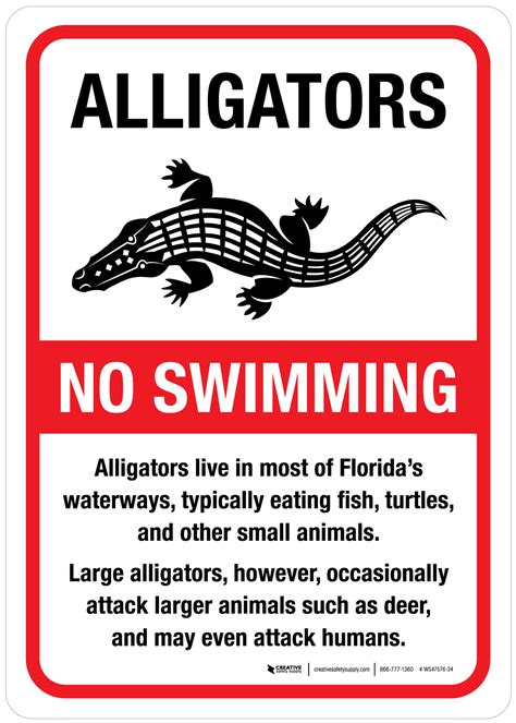 Florida Alligator Warning Alligators No Swimming In Floridas