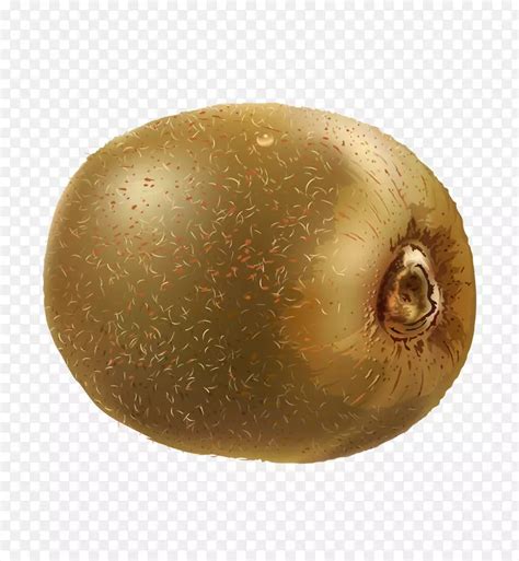 水彩卡通美味猕猴桃png图片素材下载图片编号7341831 Png素材网