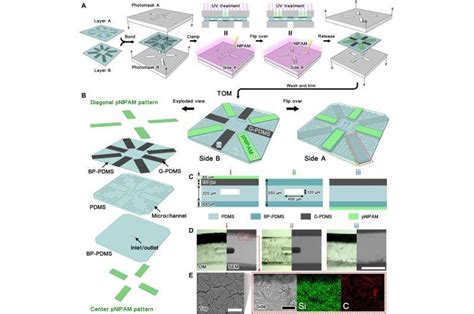 Plant Inspired Transforigami Microfluidics Scanning Electron Microscopy Intelligent Systems