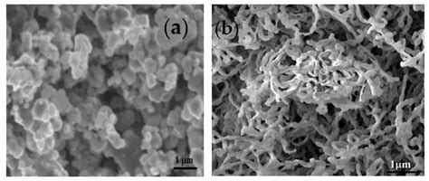 Preparation Of Anionic Surfactant Based One Dimensional Nanostructured