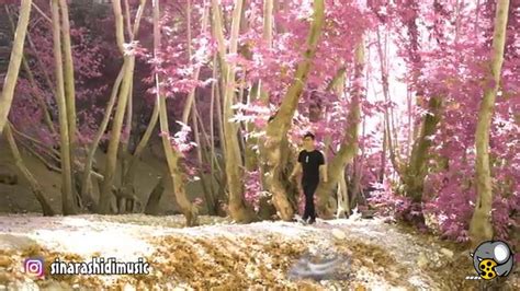 دانلود آهنگ سینا رشیدی مرهم فیلو