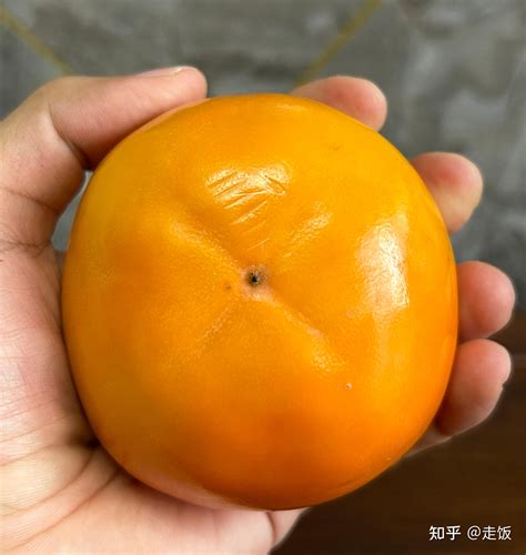 脆柿子哪里的最好吃？几月份脆柿子上市呢？