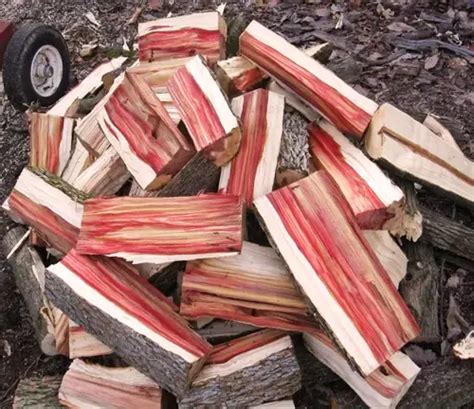 Box Elder Maple Wood