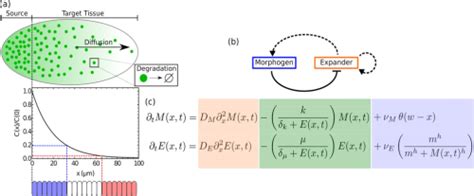 the node