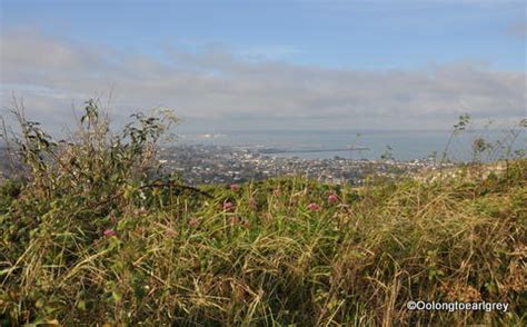 Oolong To Earl Grey To Riesling Irelands Killiney Hill Park
