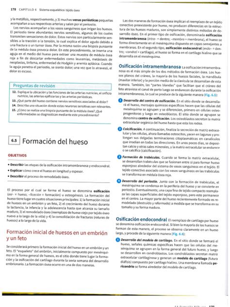 321 Osteogenesis Pdf