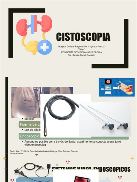 Cistoscopia 1 Pptm Descargar Gratis Pdf Especialidades Medicas