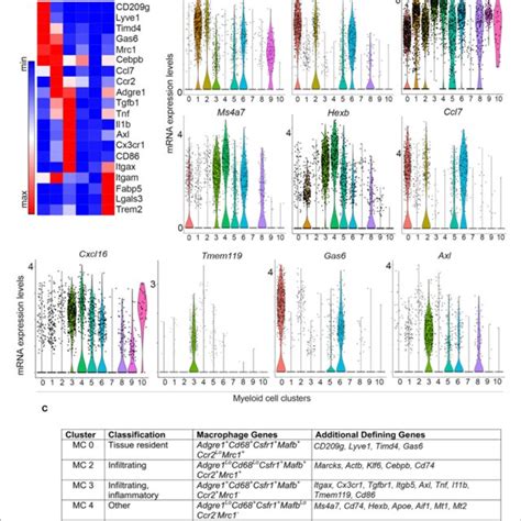 Single Cell Identification Of Immune Cells During Early Breast Cancer