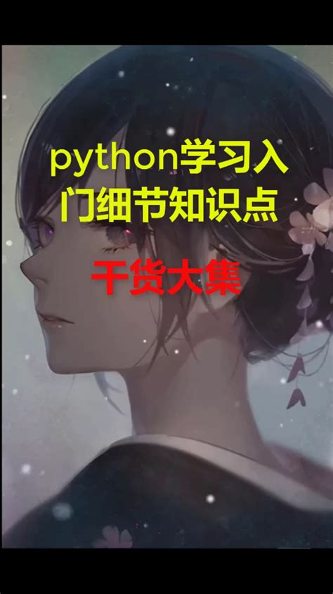 PYTHON入门 干货大集 值得一 哔哩哔哩 bilibili