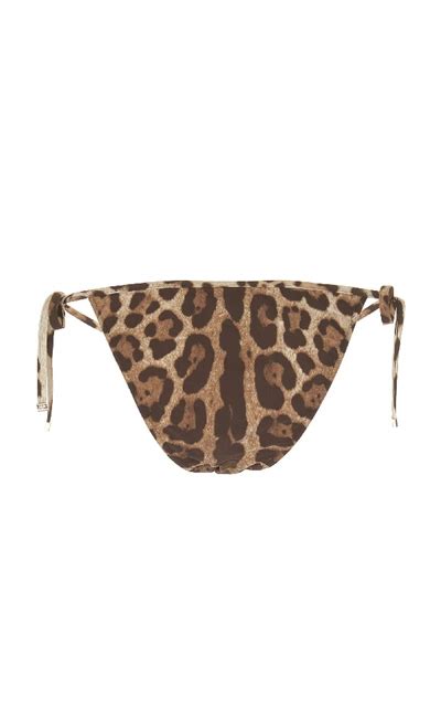 Dolce And Gabbana Leopard Print Bikini Briefs In Neutrals Modesens