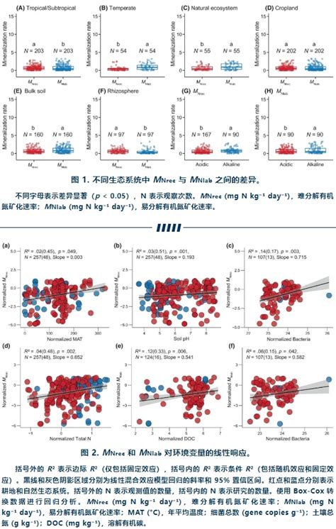 蔡祖聪教授团队揭示土壤ph和总氮是控制有机氮矿化过程的主要因素 2024年第5期（总第48期） 江苏省土壤学会
