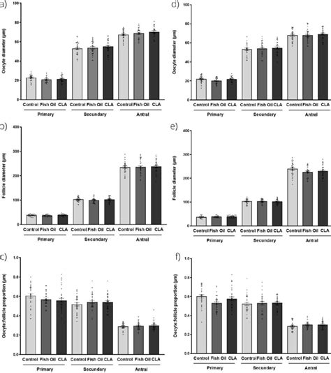 Morphometry Of Primary Secondary And Antral Follicles From Control