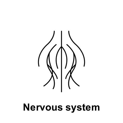 Nervous System Organ Vector Icon Illustration 23201324 Vector Art At