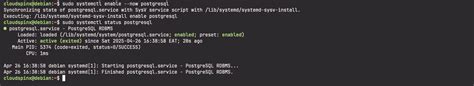 How To Install Wiki Js On Debian CloudSpinx