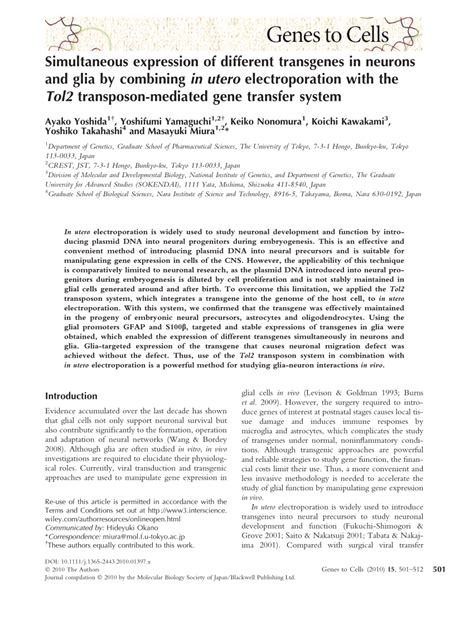 Pdf Simultaneous Expression Of Different Transgenes In Neurons And