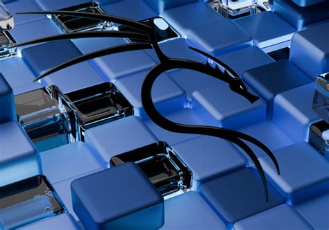 Mapping Internal Network Exposure Using Kali Linux And Nmap Shaun