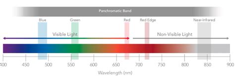 Unveiling The Power Of Multispectral Imaging In Drone Technology