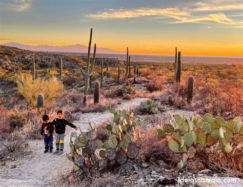 O Que Fazer No Arizona Principais Cidades E Melhores Roteiros De Viagem