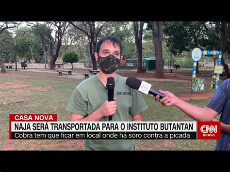 Estudante picado por naja familiares e mais nove são indiciados no DF CNN Brasil