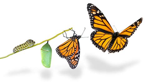 transformation not just information one challenge for preaching on easter sunday pelton on