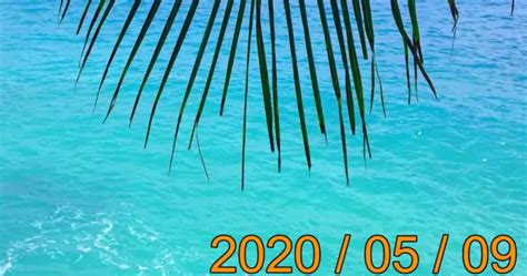 How To Remove Date Stamp From Photo Fotoprofy
