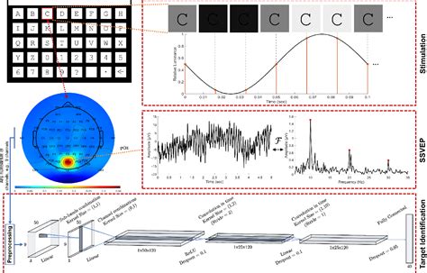 Figure 1 From A Deep Neural Network For Ssvep Based Brain Computer