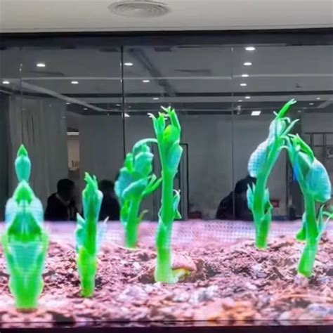 Flexible Transparent LED Film Screens Custom LED Display Screens