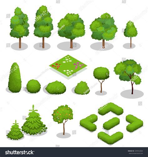 Trees Isometric Flowers Grass Big Small Stock Vector Royalty Free 349552604 Shutterstock