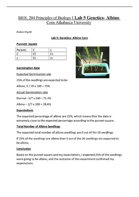 Biol 204 Principles Of Biology I Lab 5 Genetics Albino Corn Athabasca