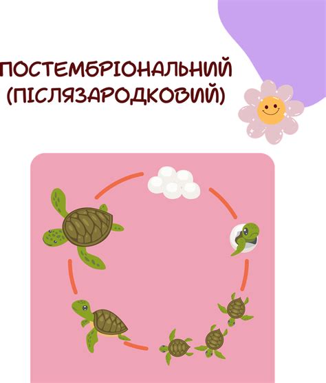 Презентація Біологія 7 клас НУШ Розвиток тварин