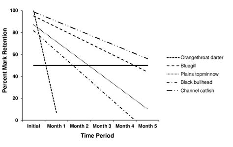 Linear Regression Outputs Depicting The Rate Of Observed Decline In