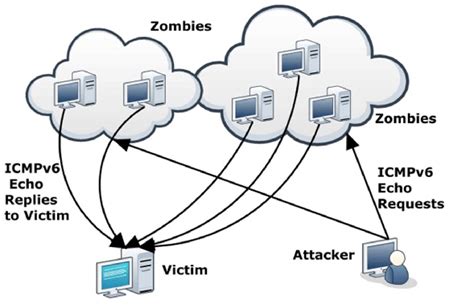 the architecture of flooding ddos direct attacks download scientific