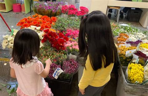 蒙特梭利工作插花台北內湖花市超適合親子去買花 千金不換育兒生活指南