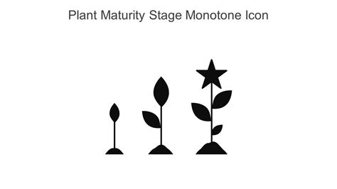 plant maturity stage monotone icon in powerpoint pptx png and editable