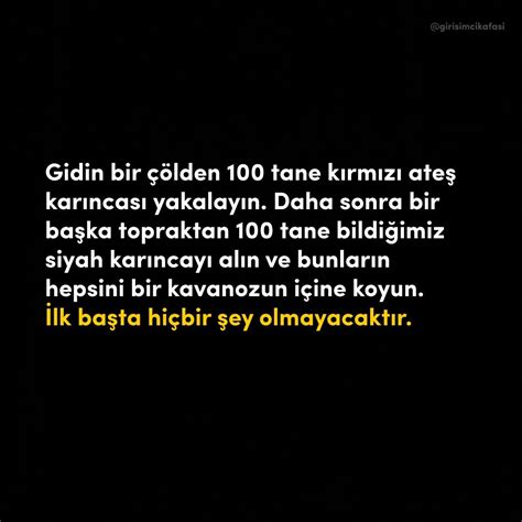 Mustafa Yiğit Posted On Linkedin