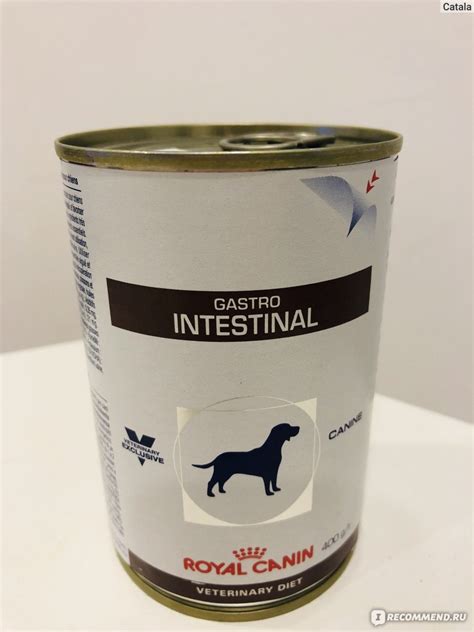 Корм для собак Gastro Intestinal (Royal Canin) - «Спасение при ...