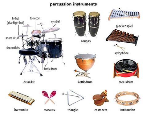 Percussion Instruments Percussion Percussion Instruments Drums