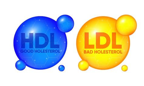 Premium Vector Good Hdl And Bad Ldl Cholesterol Highdensity And