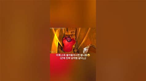 아치와 시월공주의 첫 소개팅ft나의 아치 납치극 물론 다시 집으로 갔답니당😅 고양이cat길냥이길냥이가족길냥이구조