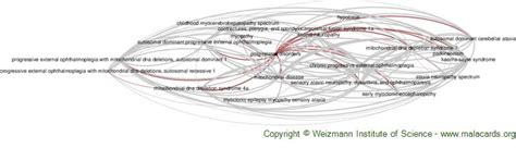 Polg Related Disorders Disease Malacards Research Articles Drugs