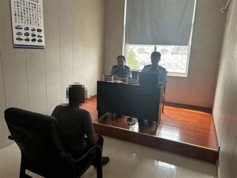 违法！平邑警方抓获一名盗窃违法行为人王某某手机整治