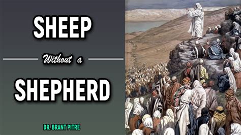 Sheep Without A Shepherd Youtube