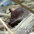 うごくどうぶつ図鑑バックナンバー 東京ズーネットBB