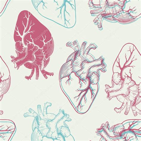 Vector Realistic Anatomical Heart With Anaglyph 3d Effect Seamless