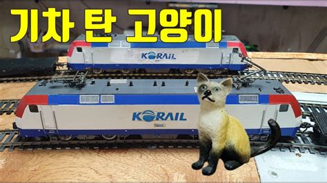 모형기차 철도모형 기차동영상 고양이 탄 기차 Cat Train Youtube